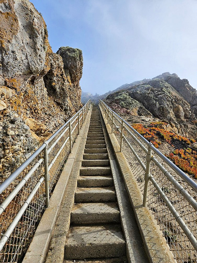 Stairway to heaven? Close. These steps lead to one of California's most dramatic viewpoints&mdash;with a cardiovascular workout thrown in for free.