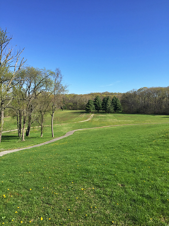 Rolling Green Fairways: Nature's carpet rolls out across Staunton Country Club, where the only pop-up notifications are the occasional woodpecker and distant lawnmower.