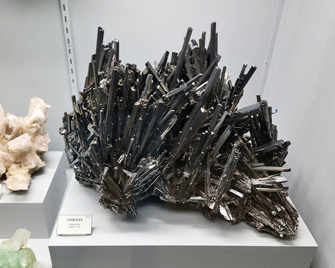 This spectacular stibnite specimen looks like a metallic porcupine having a very bad hair day—nature's version of avant-garde sculpture.