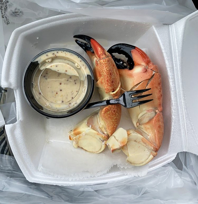 Stone crab claws with mustard sauce—nature's perfect finger food. Like the ocean decided to package its treasures in ready-to-crack containers.