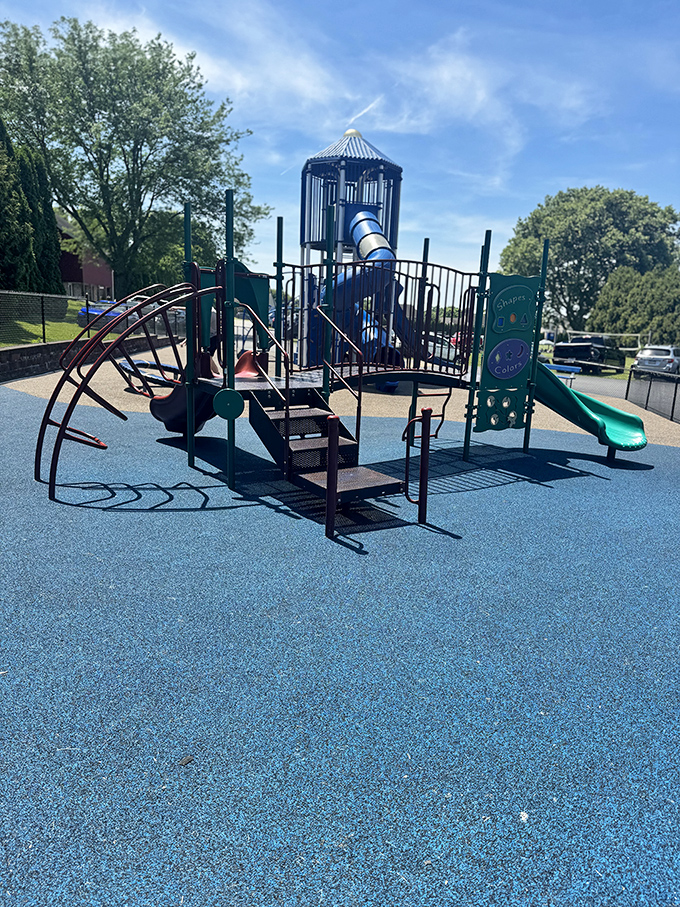 Childhood joy requires no smartphone&mdash;this playground's classic slides and climbing structures have launched more giggles and scraped knees than any app ever could.