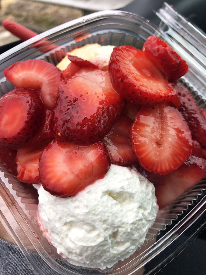 Fresh strawberries nestled against pillowy whipped cream&mdash;this shortcake isn't trying to be fancy, it's just trying to be fantastic.