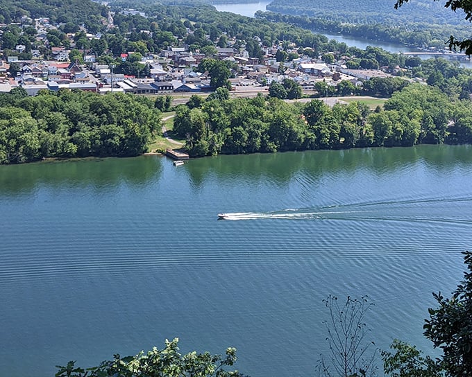 When the Susquehanna catches the sunlight just right, it transforms from river to liquid mirror, reflecting both clouds and your suddenly philosophical mood.