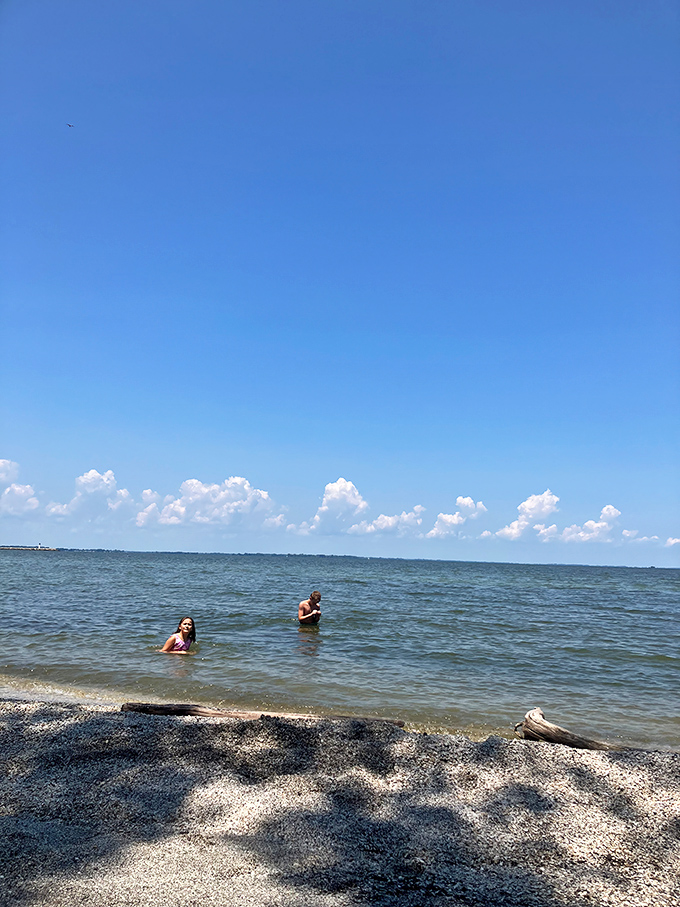 Lake Erie's reputation for swimming has come a long way from "approach with caution" to "dive right in"&mdash;these swimmers are living proof that environmental comebacks do happen.