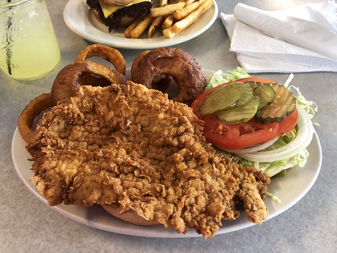 The breaded tenderloin&mdash;Indiana's state sandwich in its natural habitat. This magnificent specimen could double as a frisbee in a pinch.