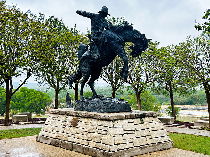 This dramatic bronze cowboy statue captures the spirit of the West that still gallops through Kerrville's cultural identity.