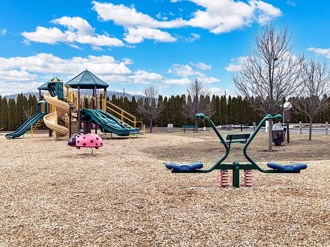 This playground waits patiently for laughter to return &ndash; the universal embassy of childhood where diplomatic immunity from adulthood is granted daily.