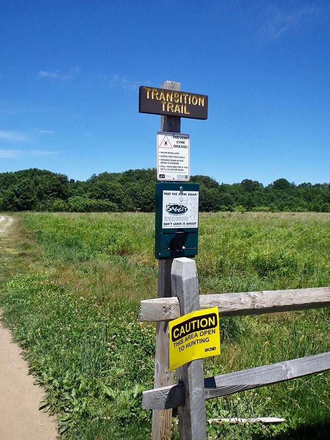 The "Transition Trail" sign might as well say "This Way to Serenity." Just remember the bug spray&mdash;nature's enthusiastic welcoming committee awaits.