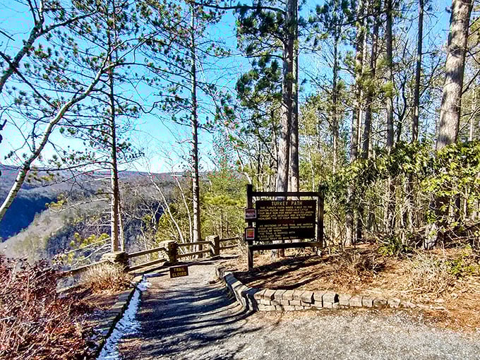 The Turkey Path Trail sign stands sentinel at the rim, a humble introduction to what might be the most beautiful leg workout in Pennsylvania.