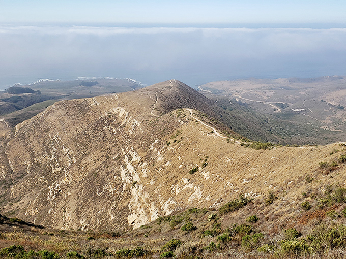 The ultimate natural stairmaster with Pacific Ocean views. These golden ridgelines make treadmills seem like cruel punishment by comparison.