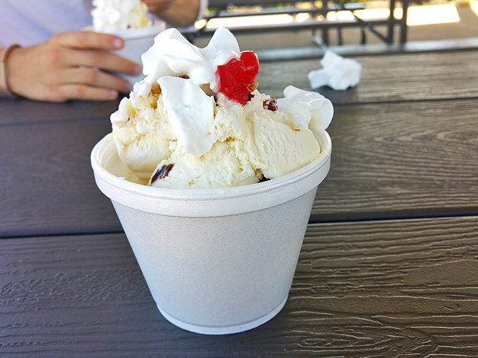 Classic vanilla done right - proof that perfection doesn't need bells, whistles, or fancy names.