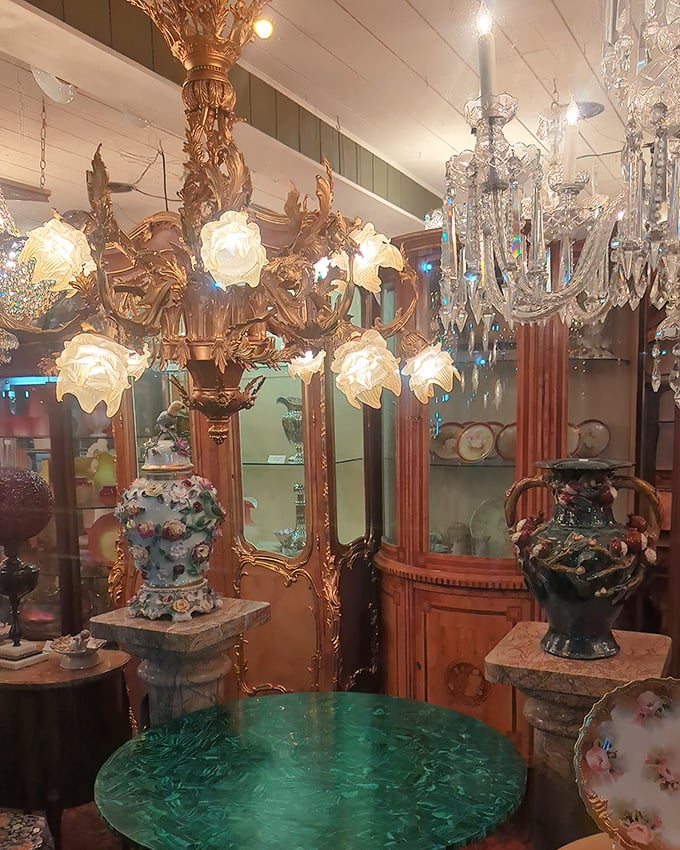 Flower-shaped glass shades bloom eternally on this gilded chandelier, surrounded by curio cabinets that whisper stories from another century.