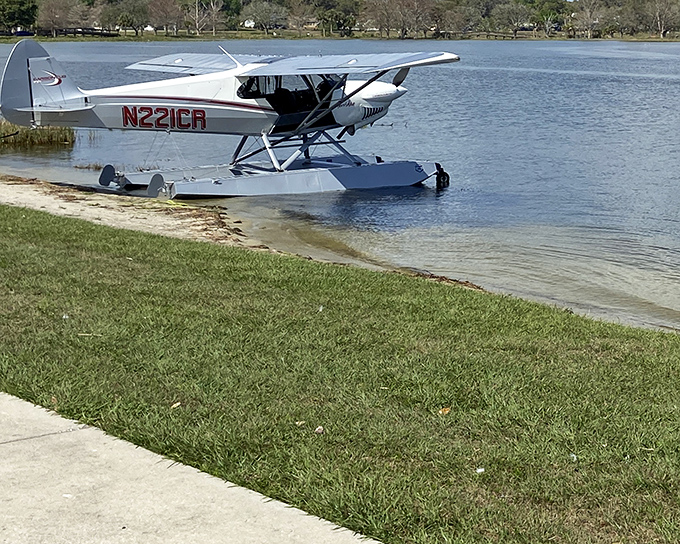 Who needs expensive seaplane tours when you can watch them land on Lake Harris? Nature's own air show, absolutely free.
