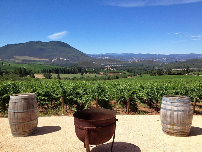 Wine country with a view! These barrels aren't just for show&mdash;they're front-row seats to Lake County's spectacular vineyard panorama.