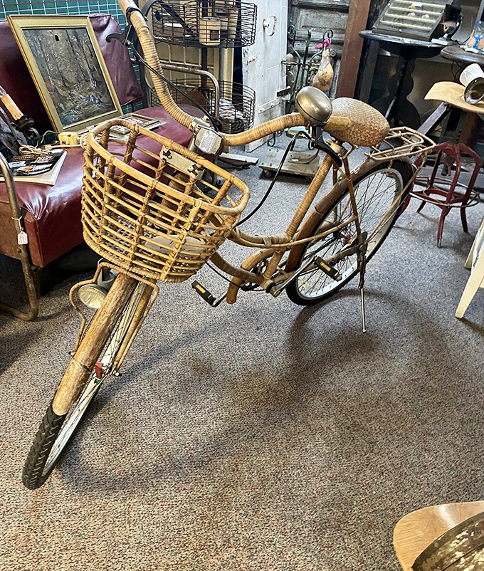 Not just transportation, but a wicker-basketed time machine on two wheels. This vintage bicycle has stories to tell about its rides.