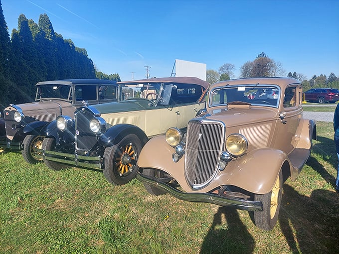 Classic cars meet classic cinema. These vintage beauties look right at home, as if they never left the golden age of drive-ins.