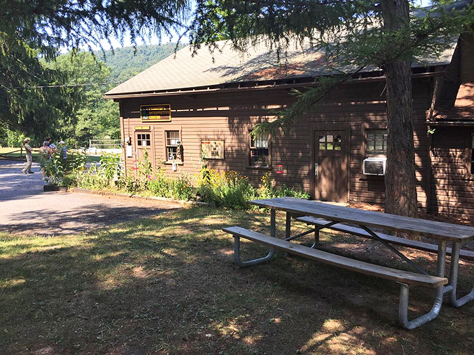 The rustic park building stands like a friendly neighbor, offering shade and information in equal measure. Norman Rockwell would approve.