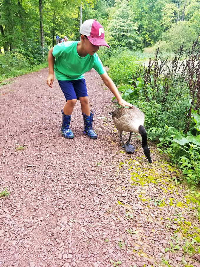 Making friends with the locals! At Nockamixon, even the waterfowl understand the concept of meet-and-greet better than most Hollywood celebrities.