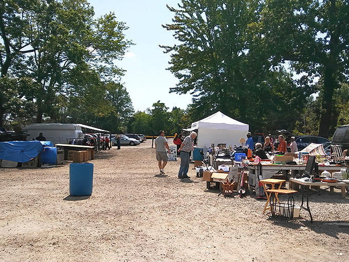 The true magic of flea markets: strangers united by the thrill of the hunt, navigating a sea of possibilities under Michigan skies.