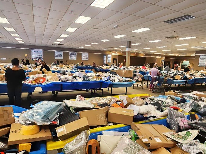 The modern-day gold rush happens in fluorescent lighting. Shoppers navigate the sea of merchandise with the focus of surgeons performing delicate operations. 