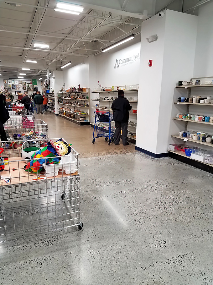 Thrift explorers navigate the aisles with purpose, each cart representing a different treasure hunt in progress.