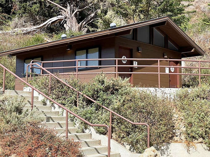 The park's facilities blend seamlessly into the landscape, proving good design doesn't have to shout to be effective. Form follows function follows fantastic views.