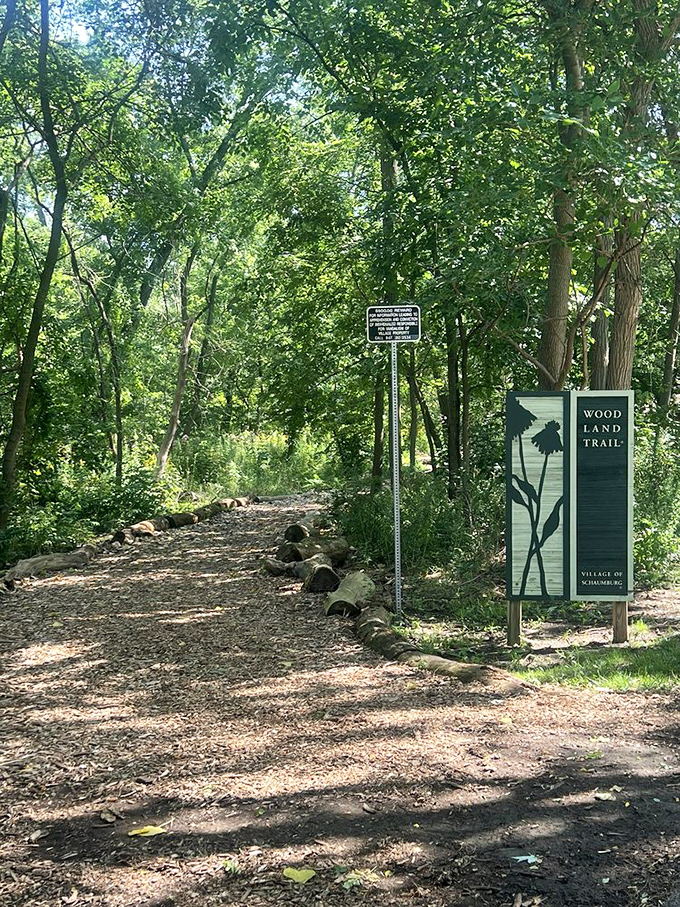The Woodland Trail beckons with promises of shaded mysteries and quiet contemplation, a perfect escape from suburban hustle.