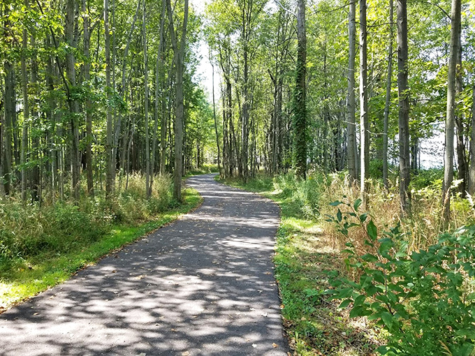 Dappled sunlight guides visitors along this woodland path&mdash;nature's version of the yellow brick road, but with fewer flying monkeys.
