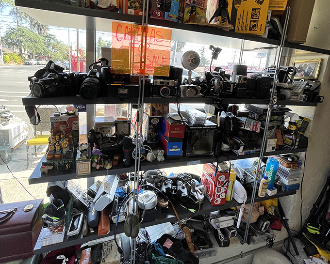 A photographer's paradise where vintage Nikons and Canons sit patiently, waiting for someone who appreciates the art of mechanical image-making.