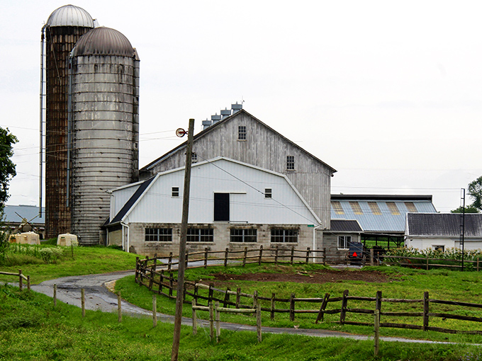 Rolling farmland stretches endlessly, promising ingredients so fresh they practically introduce themselves at your table.