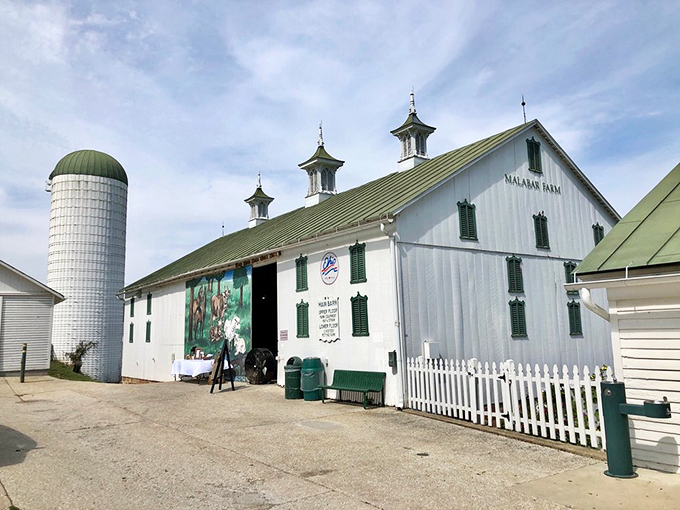 That classic white barn with its impressive silo stands like agriculture's cathedral&mdash;a temple to the timeless art of farming.