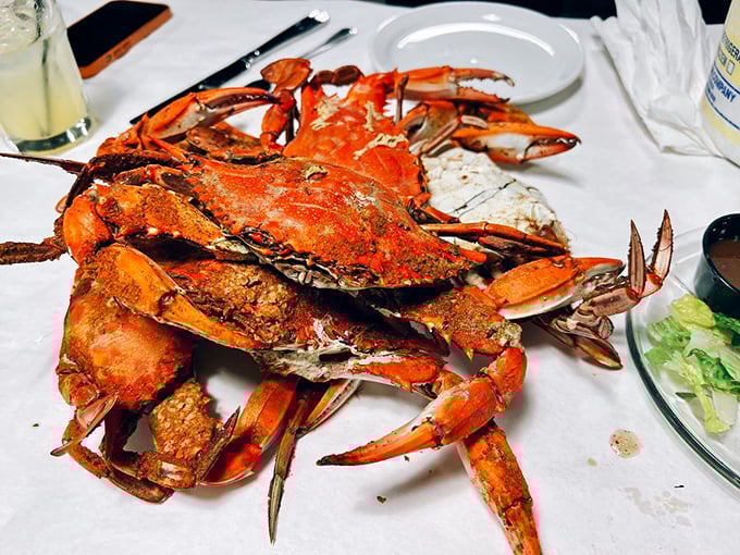 The ultimate hands-on dining experience: steamed blue crabs dusted with Old Bay, where the work of extraction makes the reward that much sweeter.
