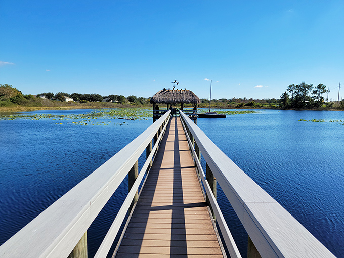 A serene boardwalk stretches across peaceful waters, offering moments of zen between citrus-picking adventures.