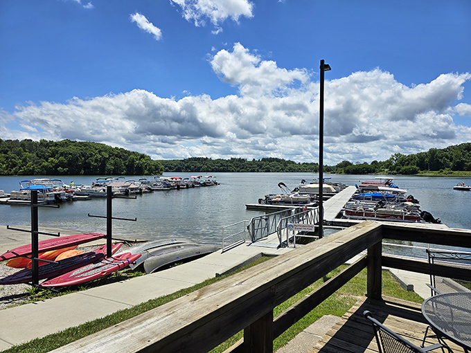 The marina: where weekend captains dock their vessels and swap fish tales that grow more impressive with each telling.