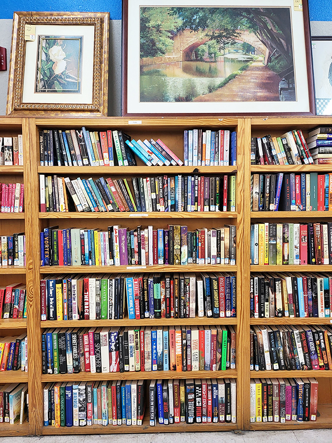 More stories than a retirement community book club! This literary goldmine offers everything from beach reads to forgotten bestsellers.