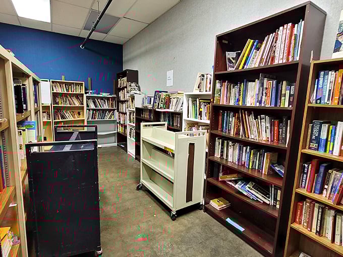 Bibliophiles, prepare your shelves! Rows of literary treasures await adoption at prices that make Amazon weep with jealousy.