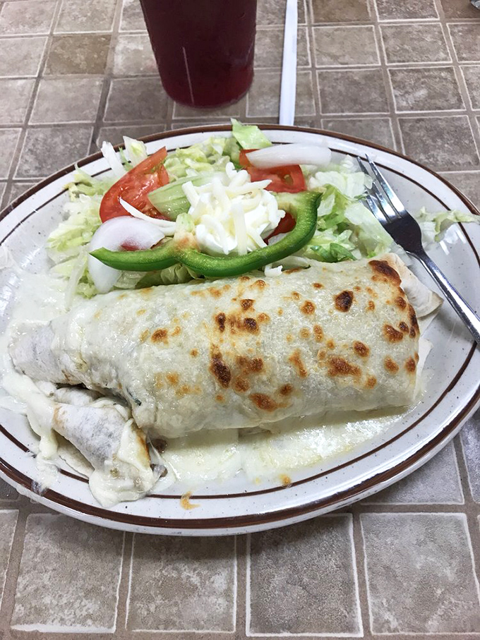 A burrito that's achieved the perfect golden-brown crust, nestled beside a salad that's not just an afterthought. This is balance in an unbalanced world.