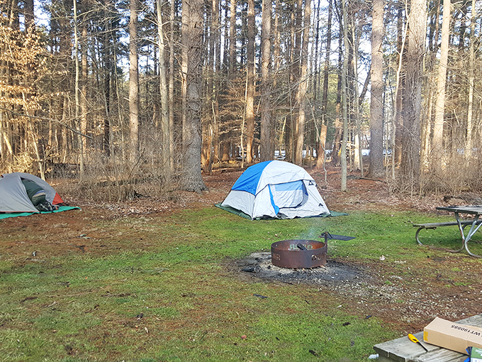 Home sweet temporary home. These campsites offer five billion stars at night – a rating no luxury hotel can match.