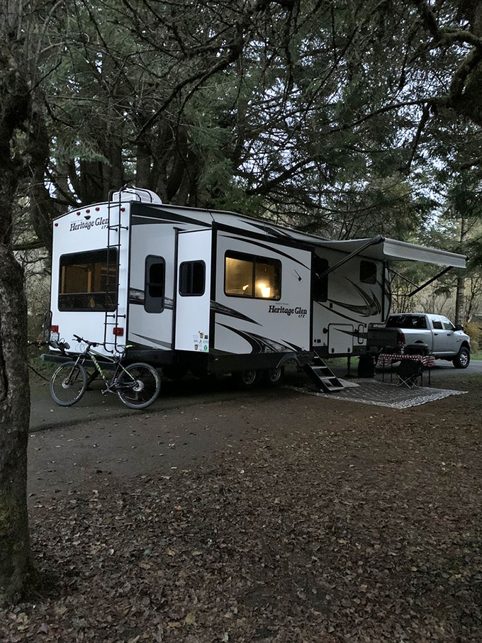 Glamping reaches new heights when your temporary address includes ancient trees as neighbors and stars as nightlights. No room service, but the views compensate nicely.