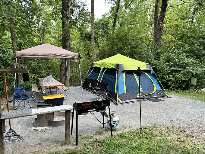 Camping nirvana: where your morning coffee comes with a side of birdsong and your evening s'mores taste better under Maryland stars.