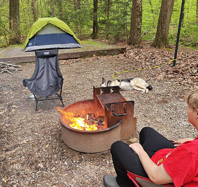 Camping simplified: a tent, a fire, and absolutely zero emails. The dog has the right idea—this is what relaxation looks like.