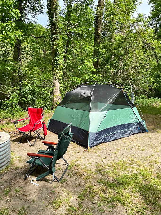 Camping among the trees at Warren Dunes &ndash; where your morning coffee comes with a side of birdsong and your evening s'mores taste like childhood memories.