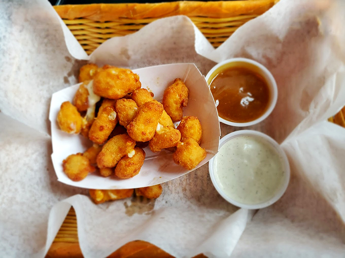 Wisconsin's unofficial state food: cheese curds that squeak between your teeth like tiny dairy cheerleaders celebrating your good taste. 