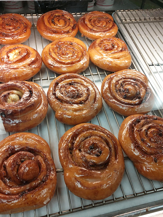 Cinnamon rolls lined up like edible works of art, each spiral promising a journey from crisp exterior to pillowy, spice-infused center.