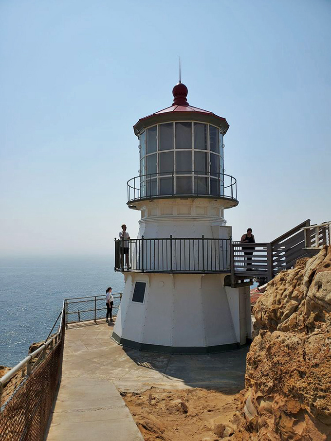 Classic maritime beauty in white and red, the lighthouse stands sentinel against crashing waves, a postcard moment brought gloriously to life.