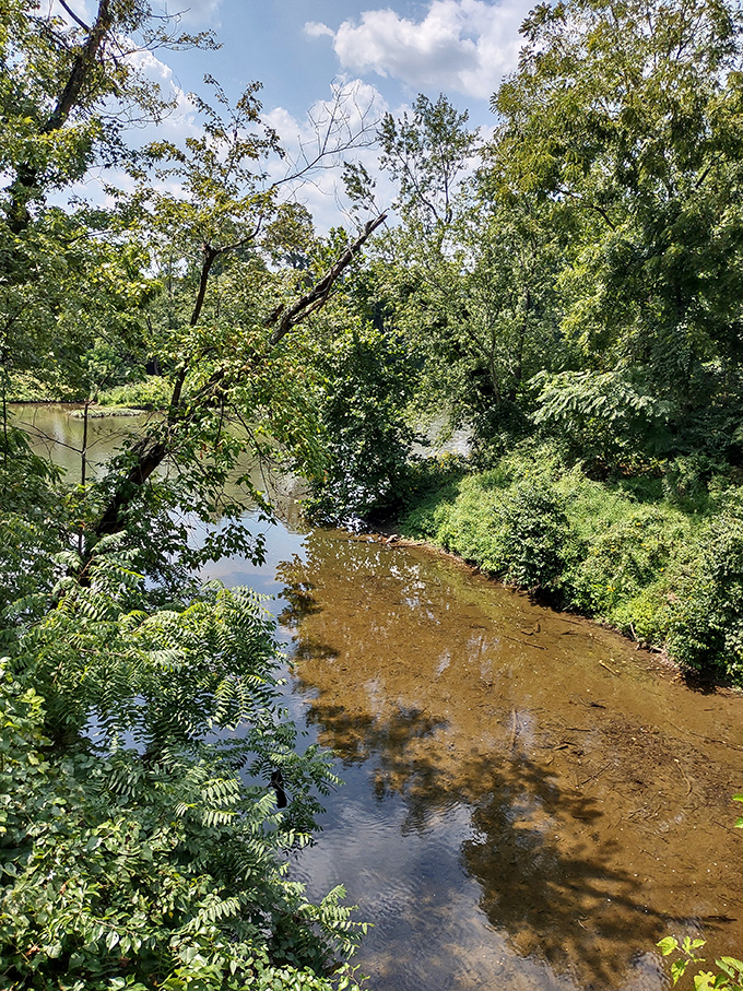 The gentle flow of Wills Creek offers natural serenity just steps away from downtown's affordable amenities.