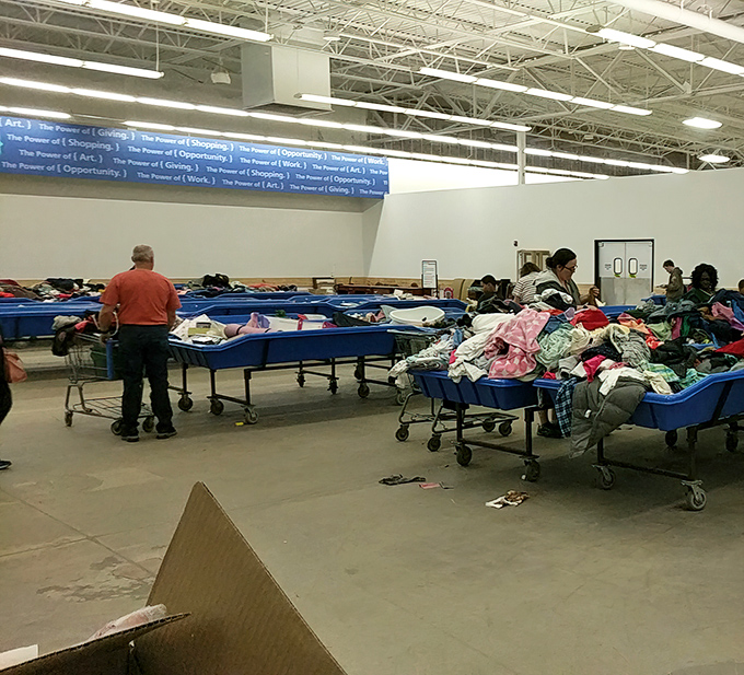 Treasure hunters navigate the blue bin wilderness, where patience yields rewards. Every serious thrifter knows this dance of discovery.