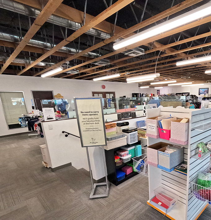 The organized chaos of thrift shopping at its finest&mdash;where storage solutions and household items find their second chance.