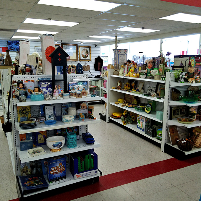 Knickknacks and novelties stand at attention, each shelf a time capsule of American domestic life spanning decades of design trends.