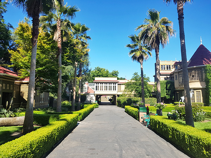 The palm-lined driveway welcomes visitors to California's most charmingly confusing architectural adventure.